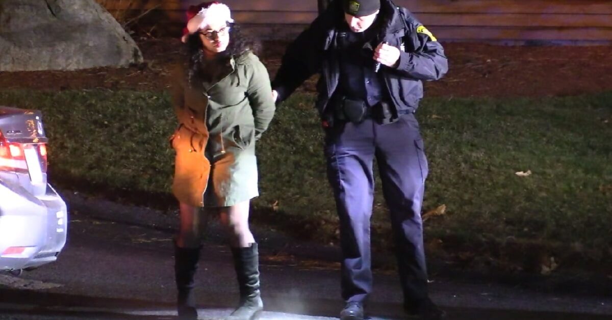 A HN CHRISTMAS POEM: Elf locked up when out on Rte. 132 arose such ...