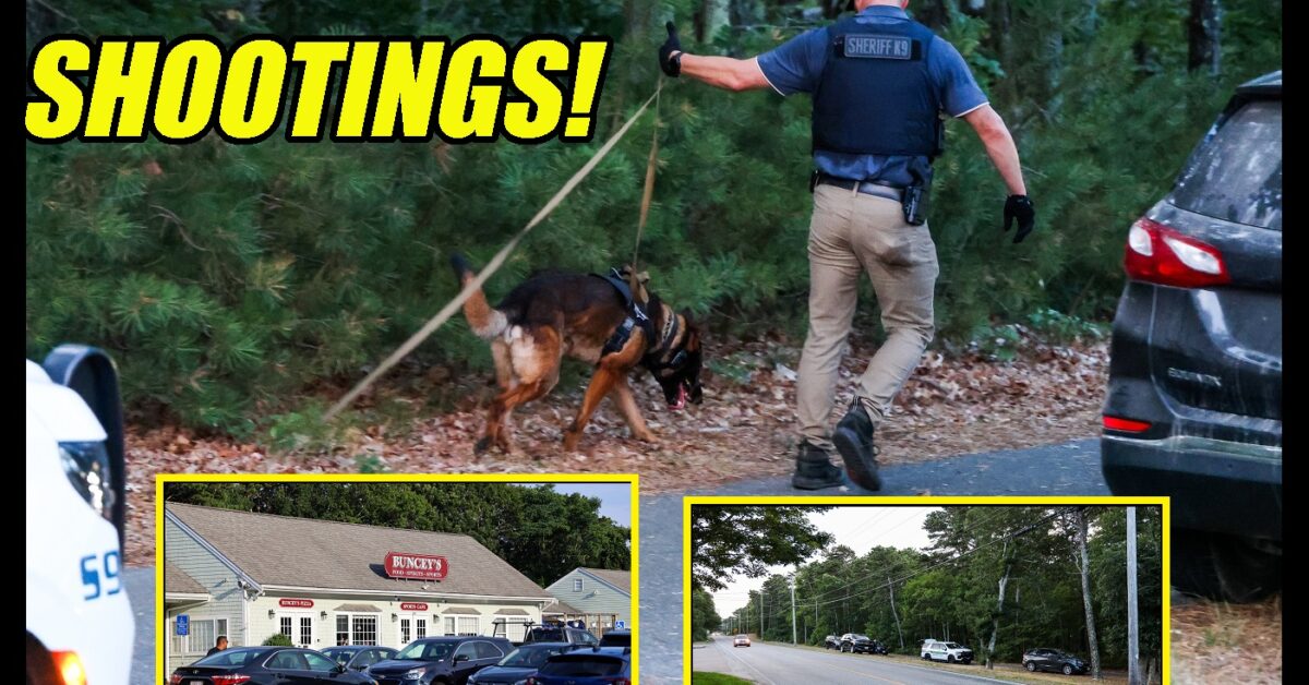 DENNIS SHOOTING SUSPECT SHOT A PREGNANT WOMAN EARLIER ON SAME DAY ...